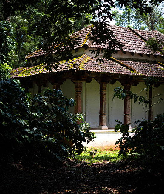 History – Hunkal Estate Coffee