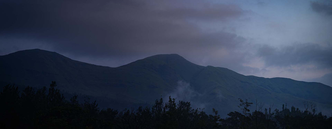 Hunkal Estate Coffee